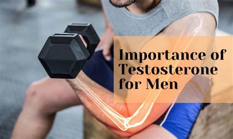 Benefits Of Testosterone Therapy For Men Florida Testosterone
