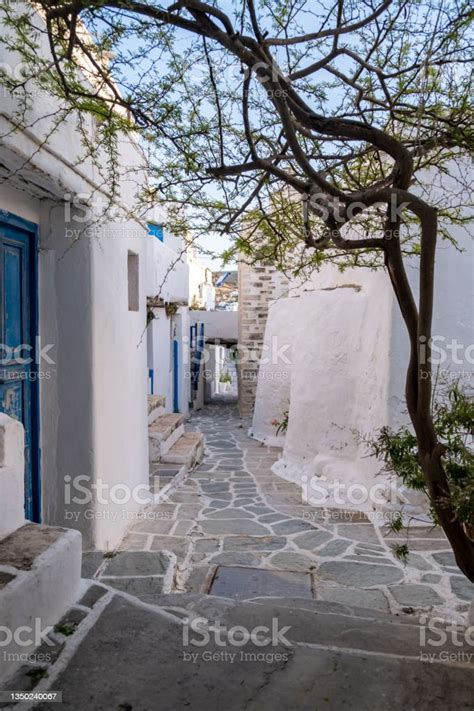 알레산드로스 섬 그리스 키클라데스 전통적인 하얗게 칠해진 건물과 좁은 거리 카스트로 0명에 대한 스톡 사진 및 기타 이미지 0명 가리기 거리 Istock