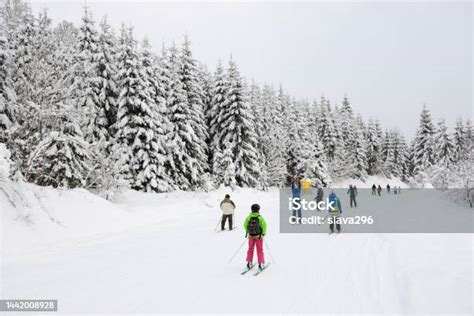스키어와 스노우보더는 부코벨 스키 리조트의 슬로프에 있습니다 68km의 활강 코스가있는 우크라이나에서 가장 큰 스키 리조트입니다 12월에 대한 스톡 사진 및 기타 이미지