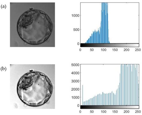 Applied Sciences Special Issue Computer Vision And Pattern Recognition Based On Deep Learning