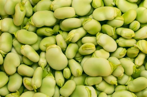 Beneo Invests €50m In New Fava Bean Processing Plant In Germany Vegconomist The Vegan