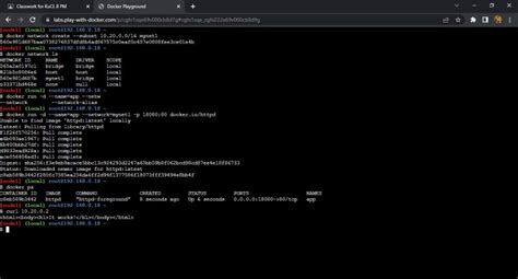 Ravi J Vishwakarma On Linkedin Docker Network Task8 Customized