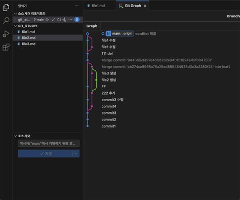 Git GitHub Git Graph VSCode