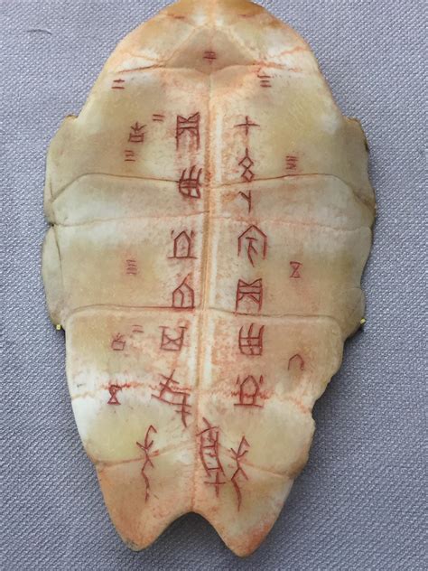 甲骨文（原创） 甲骨文 原创 甲骨 新浪新闻