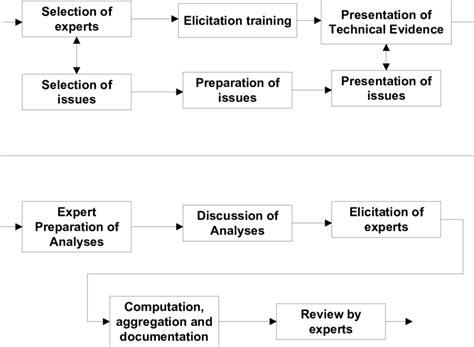 Principle Steps In Expert Elicitation Process Download Scientific Diagram