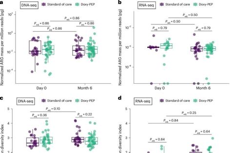 How Doxycycline For Sti Prevention Affects The Gut Microbiome