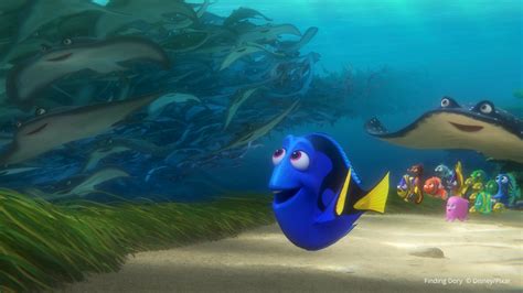 The Tech Of Pixar Part 2 Finding Dory Making Waves Fxguide