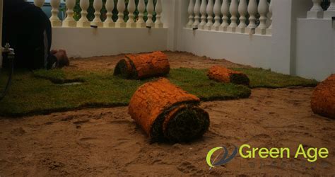 Grass Turfing In Singapore Landed Serangoon Greenage Landscaping Services Singapore