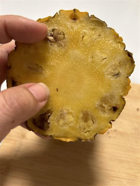 Pineapples A How To Guide To Grow And Care For Your Own Rgardening