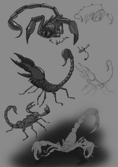 How To Draw A Scorpion Step By Step Drawing Tutorial Artofit