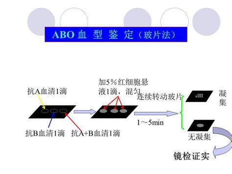 血型鉴定与交叉配血自贡市第一人民医院