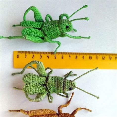 Best 12 Grasshopper Crochet Pattern Toy Crochet Pattern Brooch