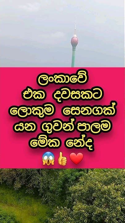 ලංකාවේ ලොකුම සෙනගක් යන ගුවන් පාලම මේක නේද😱😱 ️ හැමදාම යන අය ලයික් කරමු බලන්න 👍👍👍 Youtube