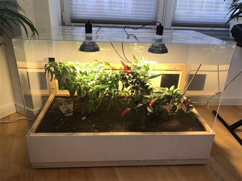 Fully Automated Miniature Greenhouse Rraspberrypi