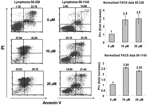 Thymic Lymphoma Cells From Lck Myrakt2 Mice Are Sensitive To