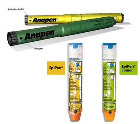 Anafilaxia Tratamento Prof Dra Mariana Couto