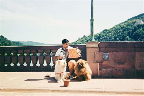 A Visual Explanation Of Gradient Descent Methods Momentum Adagrad Rmsprop Adam Towards