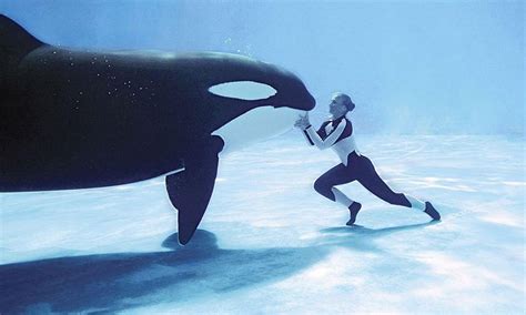 Blackfish Where To Watch And Stream Online Entertainmentie