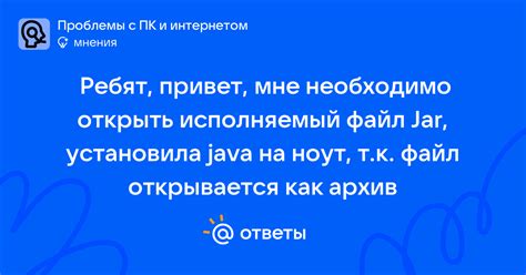 Ребят привет мне необходимо открыть исполняемый файл Jar установила