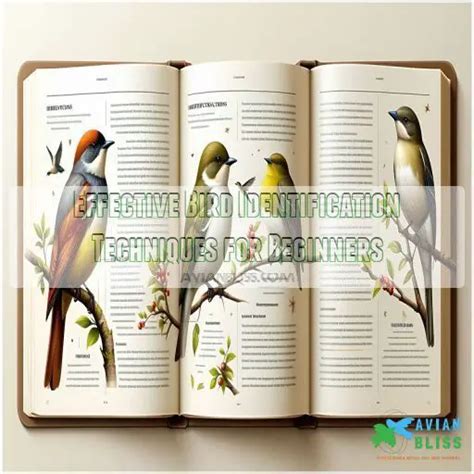 Best Bird Identification Books For Beginners Top 3 Must Have Guides