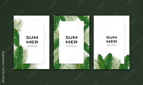 Set Of Tropical Leaf Background Template Stock Photo Adobe Stock
