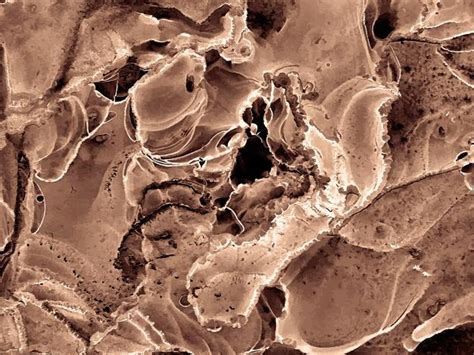 수채화 손으로 그린 배너 서식 파일 무료 벡터