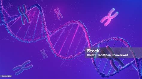 Dna 나선형 구조 Dna 나선 상보적인 서열 유전 코드 또는 게놈 가닥 유전자 발현 뉴클레오티드 데이터베이스 전사 및 번역의 중심 교리 과정 3d 렌더링 3차원 형태에