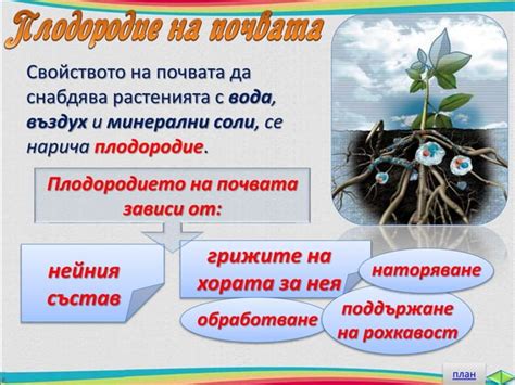 3 Почва ЧП 4 клас Булвест Pptx