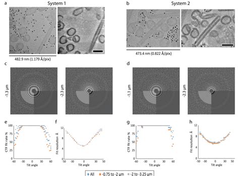 Cryo Electron Tomography On Current Energy Filtered Deds A Tilt Image Download Scientific