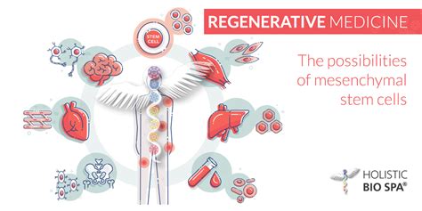 Regenerative Medicine Cell Therapy Aa Aesthetic