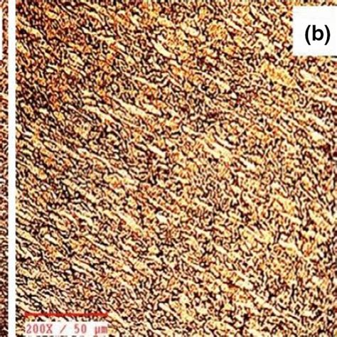 The Tensile Fracture Surface Morphology Of Ti 6al 7nb Titanium Alloy At Download Scientific