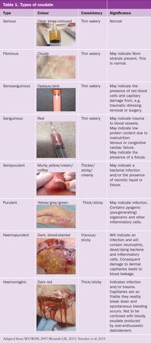 Serous Exudate Coloring Pages [2025]