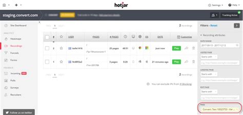 Hotjar Convert One Tag Ab Testing Setup