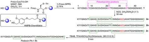 Synthesis Of Pediocin Pa 1 And Its Analogs Download Scientific Diagram