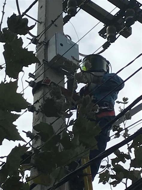 Overhead Line Phase Fault Indicator Lamps Smart Navigator Buy Phase Fault Indicator Lamps