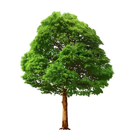 Isolated Trees On Without Background PNG