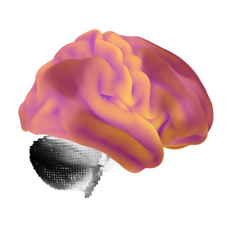 Example Rendering Data Over Surface — Cerebro Viewer 00105 Documentation