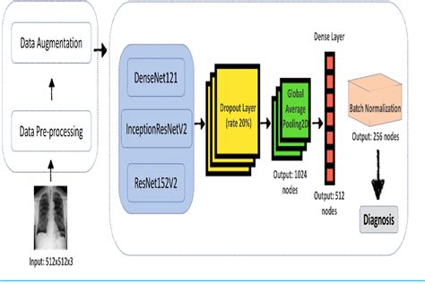 Figure From AI Driven Deep CNN Approach For Multi Label Pathology