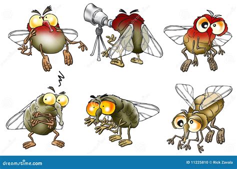 Cartoon Flies