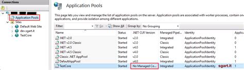 Pubblicare Un Applicazione Aspnet Core 20 Su Iis Sgartit