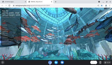 odroid n2 sbc gets ubuntu 21 10 chromium os with panfrost open source