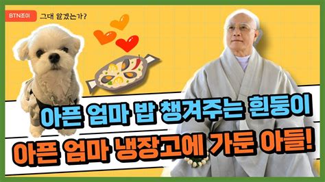 아픈 주인 밥을 챙겨주는 흰둥이 아픈 엄마 냉장고에 가둬 버린 아들ㅣ무명스님 그대 알겠는가 ㅣ110화 첫 번째 Youtube