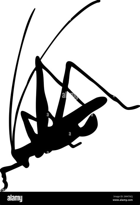 Silhouette Of Grasshopper Grasshopper Close Up Detailed Vector