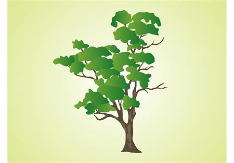 Tree Bark Free Vector Art Free Downloads
