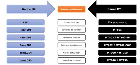 Swift ISO 20022 Expertiz Consulting