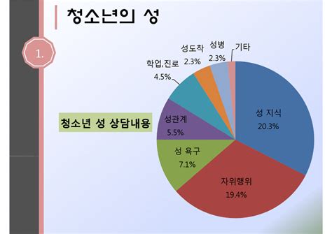 청소년의 성청소년성문제 청소년성매매 낙태 미혼모 청소년성문제해결방안 성문화센터 Ppt 프레젠테이션 사회과학