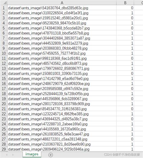 学习pytorchpython之自定义数据集创建csv文件pytorch 自定义数据集 一定要定义一个csv文件来记录标签 Csdn博客
