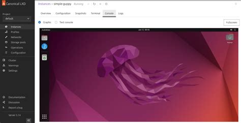 Early Access To The Lxd Graphical User Interface Ubuntu