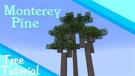 Minecraft Custom Tree Tutorials Monterey Pine Youtube