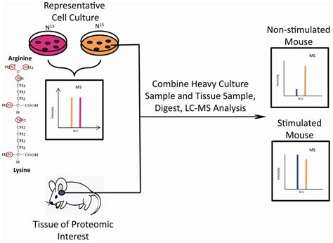 Chapter 5 Modern Techniques In Quantitative Proteomics Bioanalysis Zone